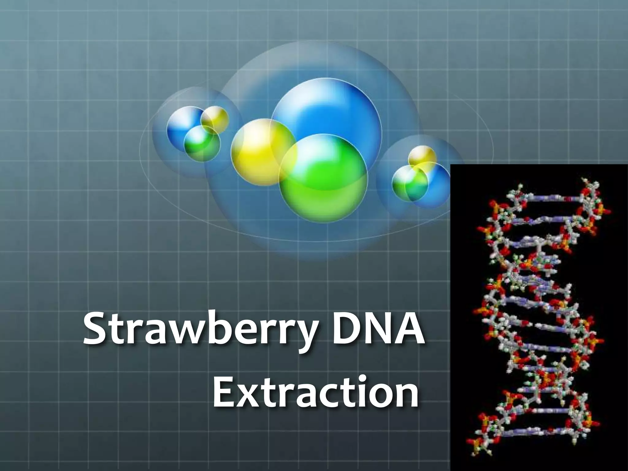 Strawberry dna | PPTX