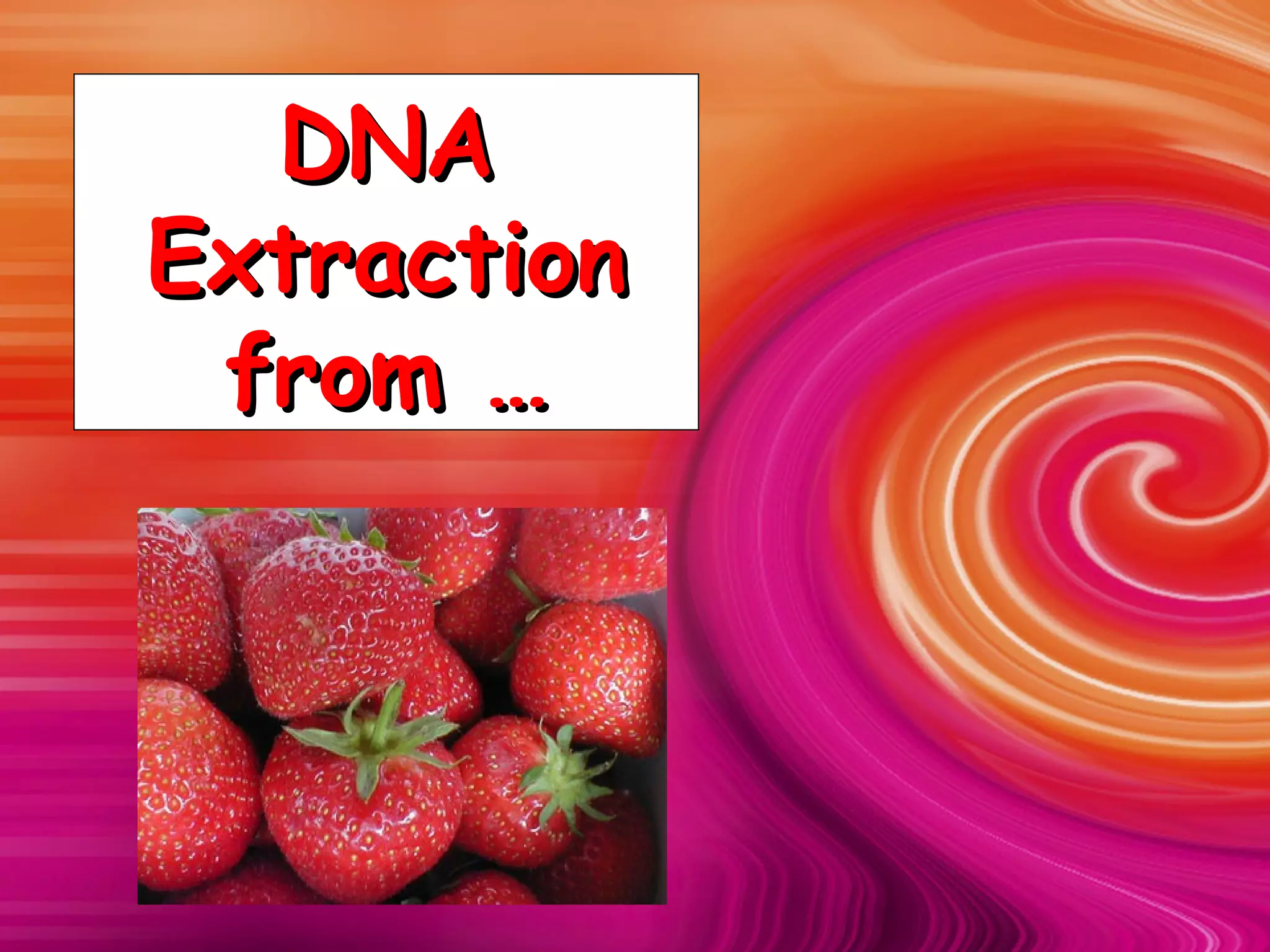 Strawberry dna extraction | PPT