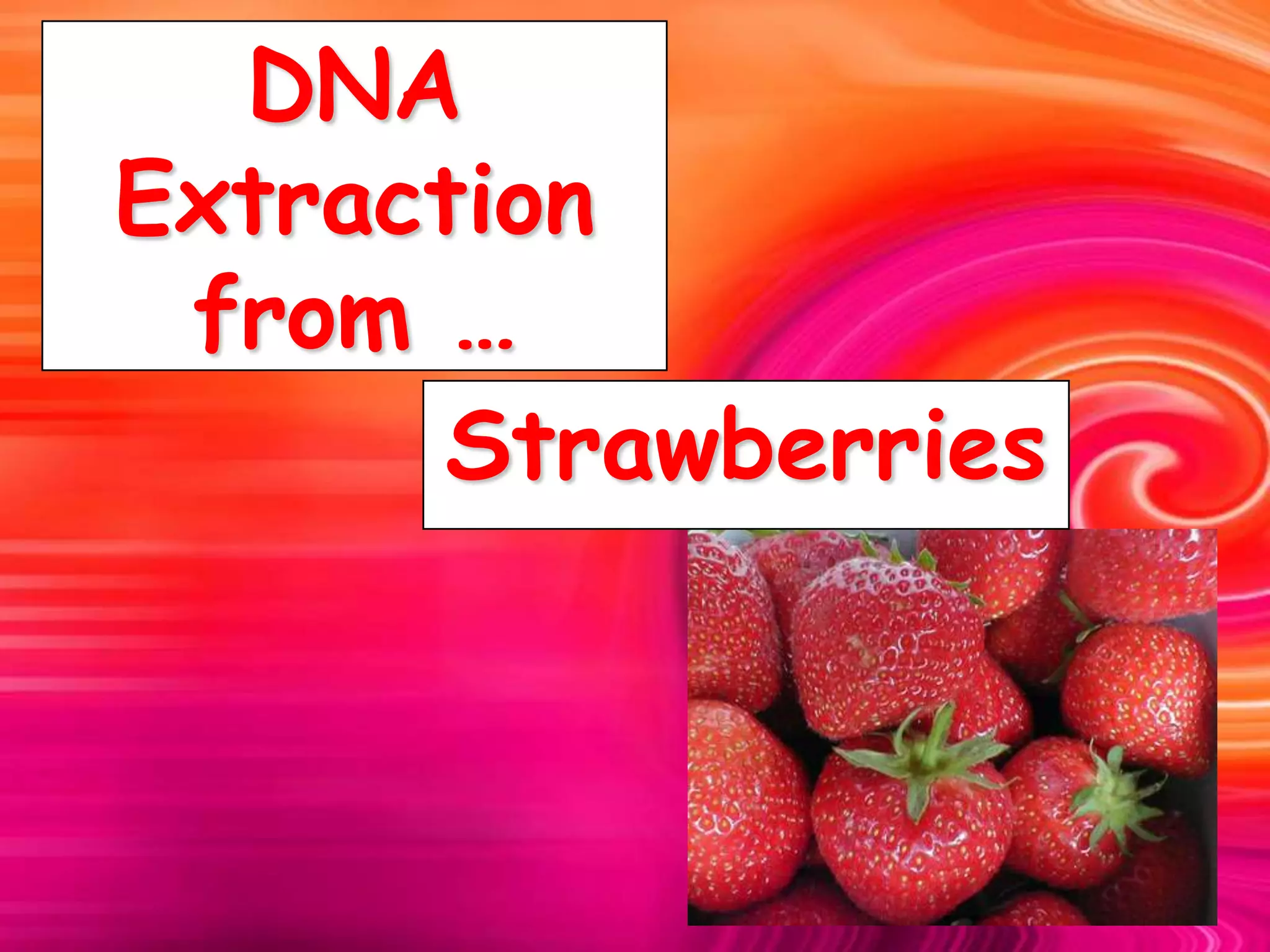 Strawberry DNA Extraction | PPT