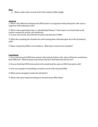 DNA Extraction Lab | DOCX