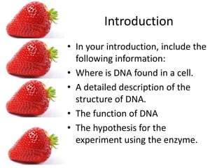Strawberry DNA lab report | PPTX