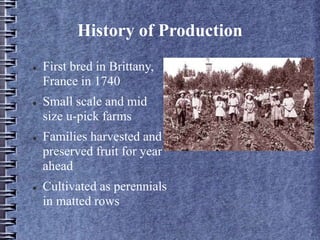 The Strawberry: Production, Impact, and Sustainability of an Important ...
