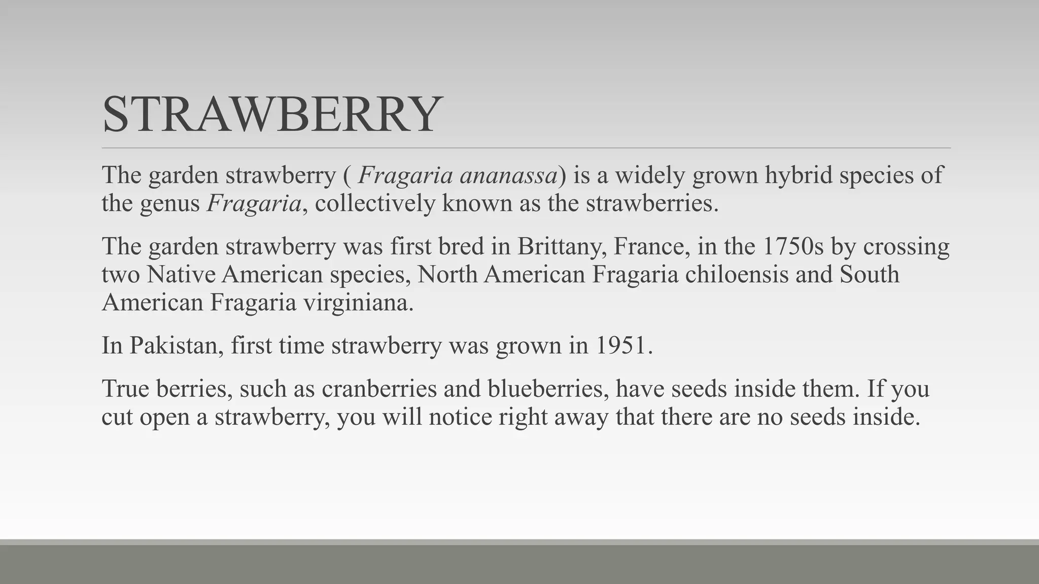 Strawberry Presentation.pptx