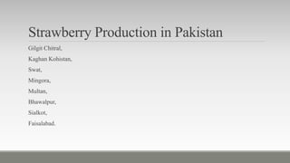 Strawberry Presentation.pptx
