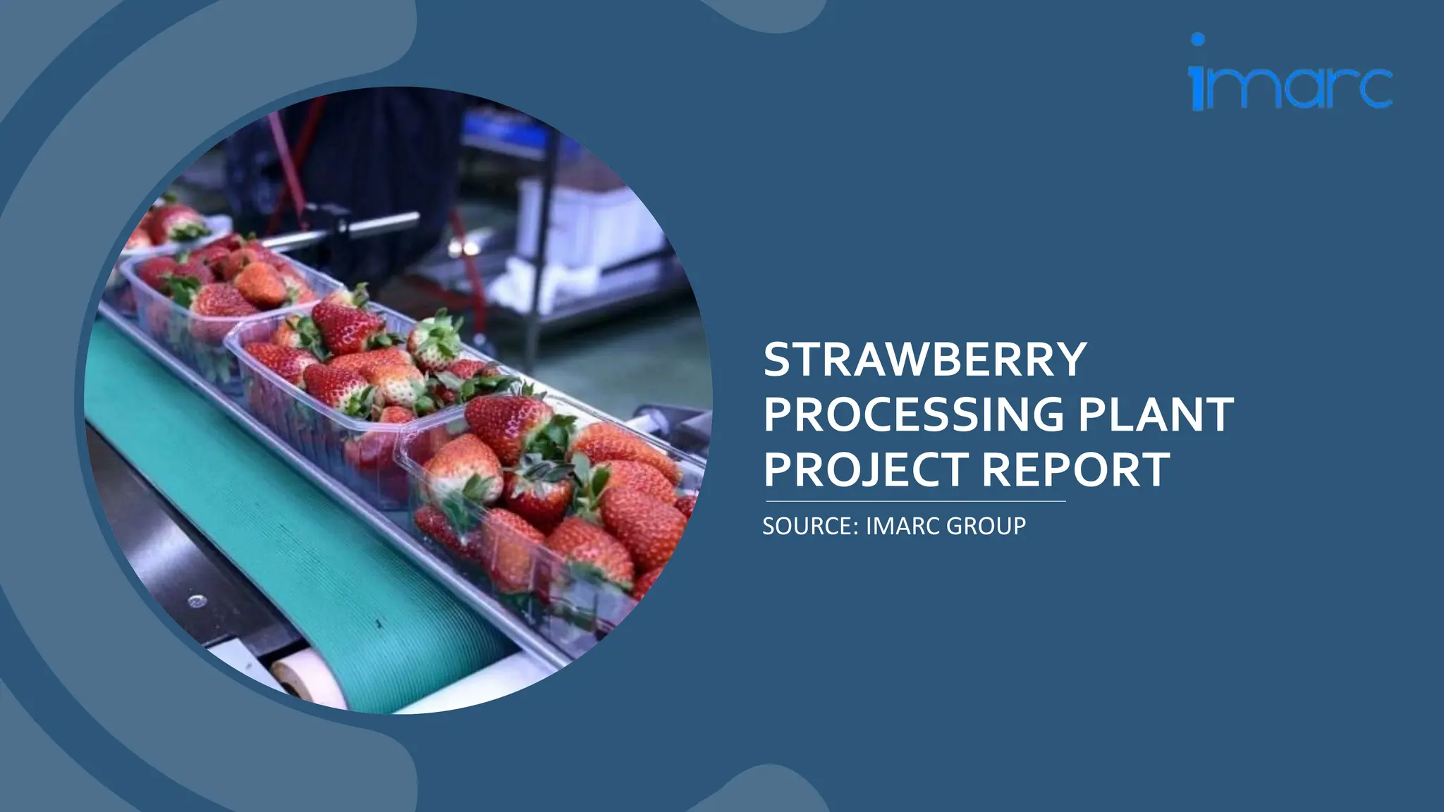 Strawberry Processing Plant Project Report.potx
