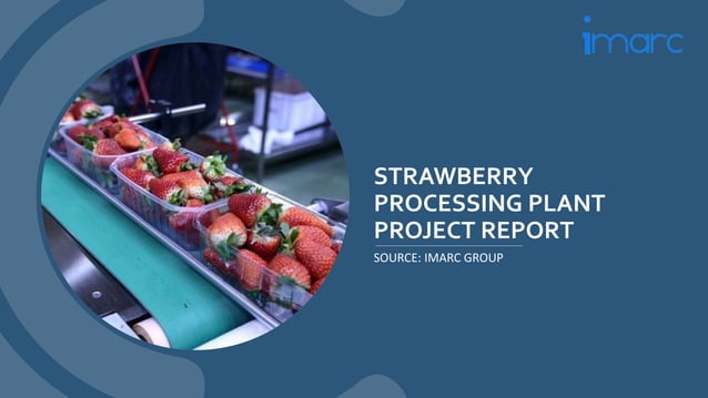 Strawberry Processing Plant Project Report.potx | Agriculture | Industries