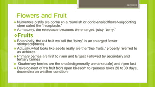 Strawberry cultivation (Nepal)- production and insect pests | PPTX