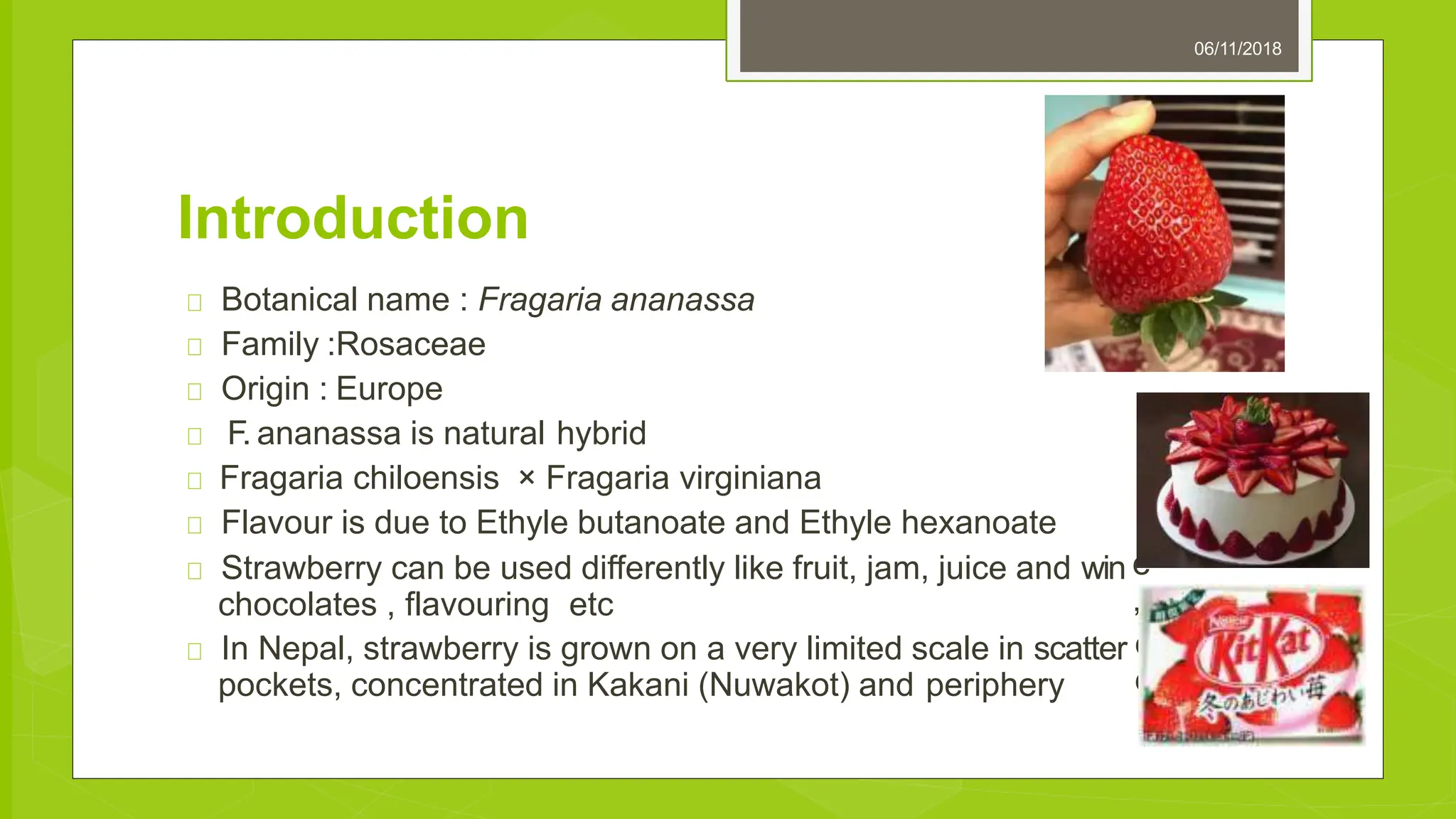 strawberry_production_2020-converted.ppt