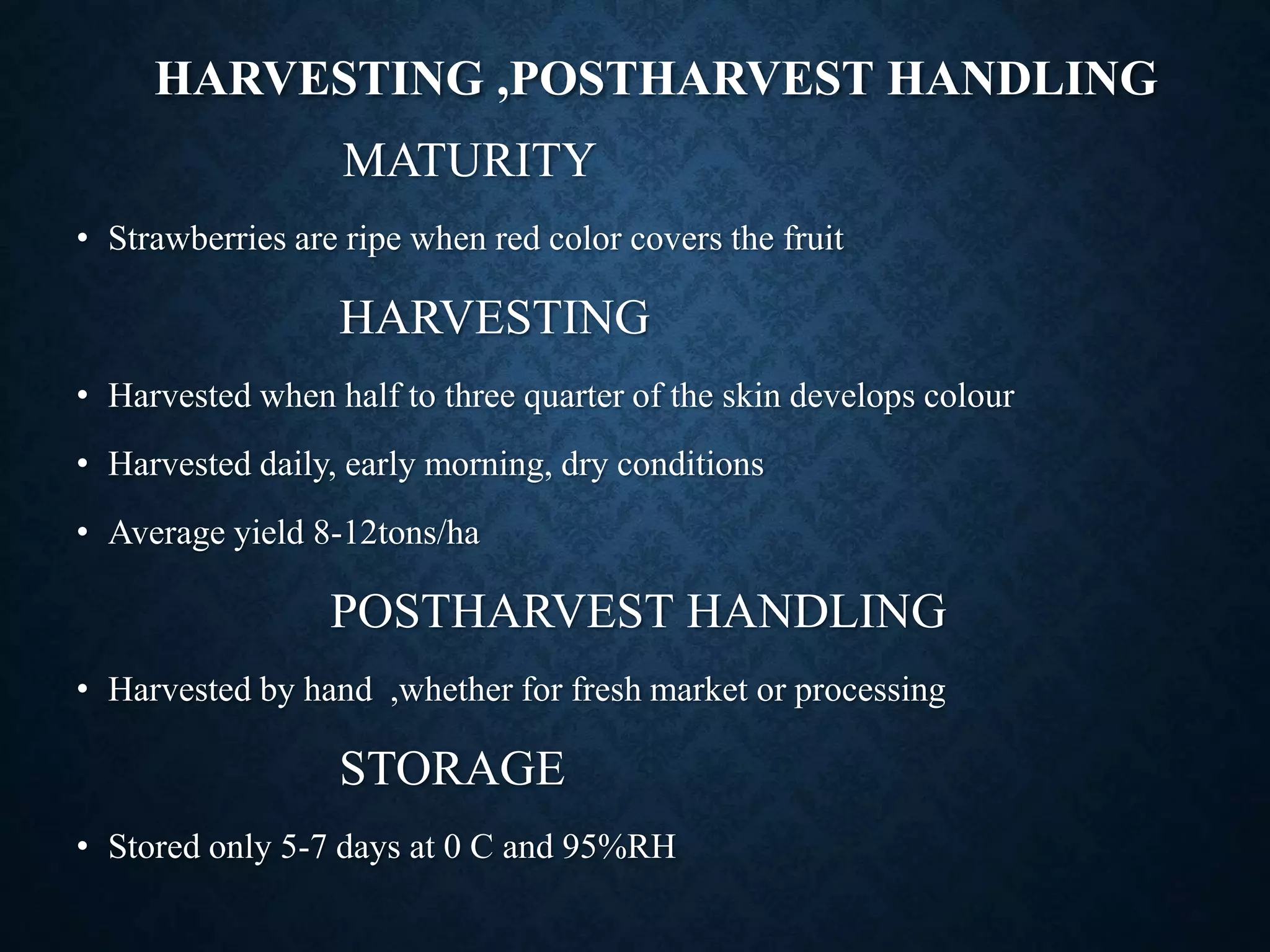 Strawberry production technology | PPTX