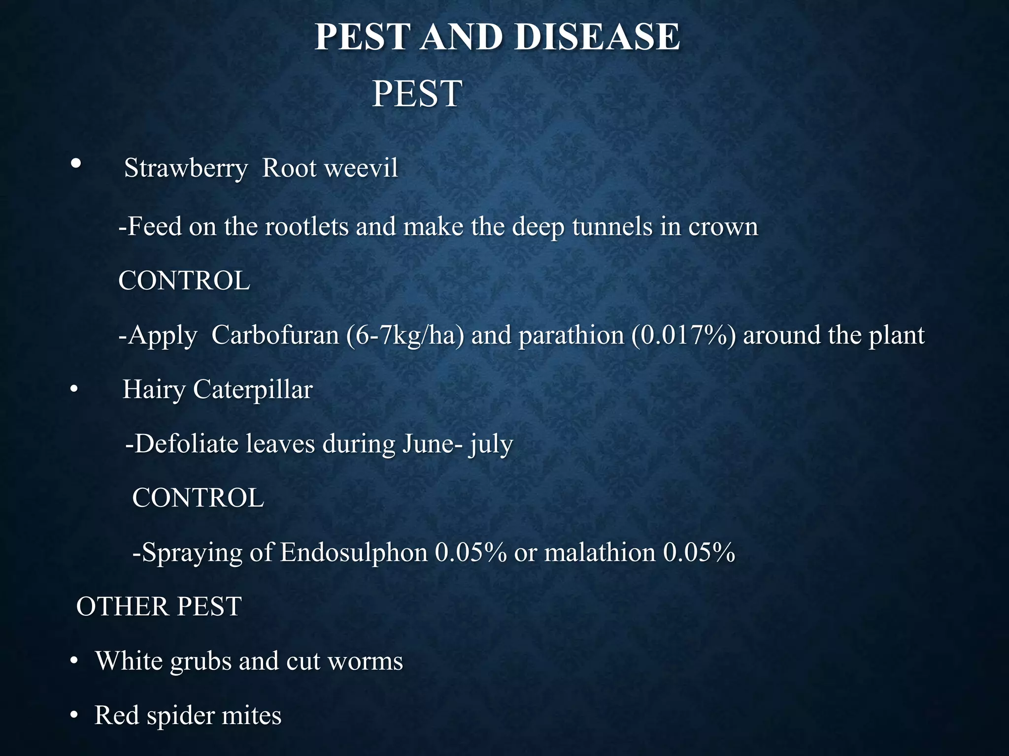 Strawberry production technology | PPTX