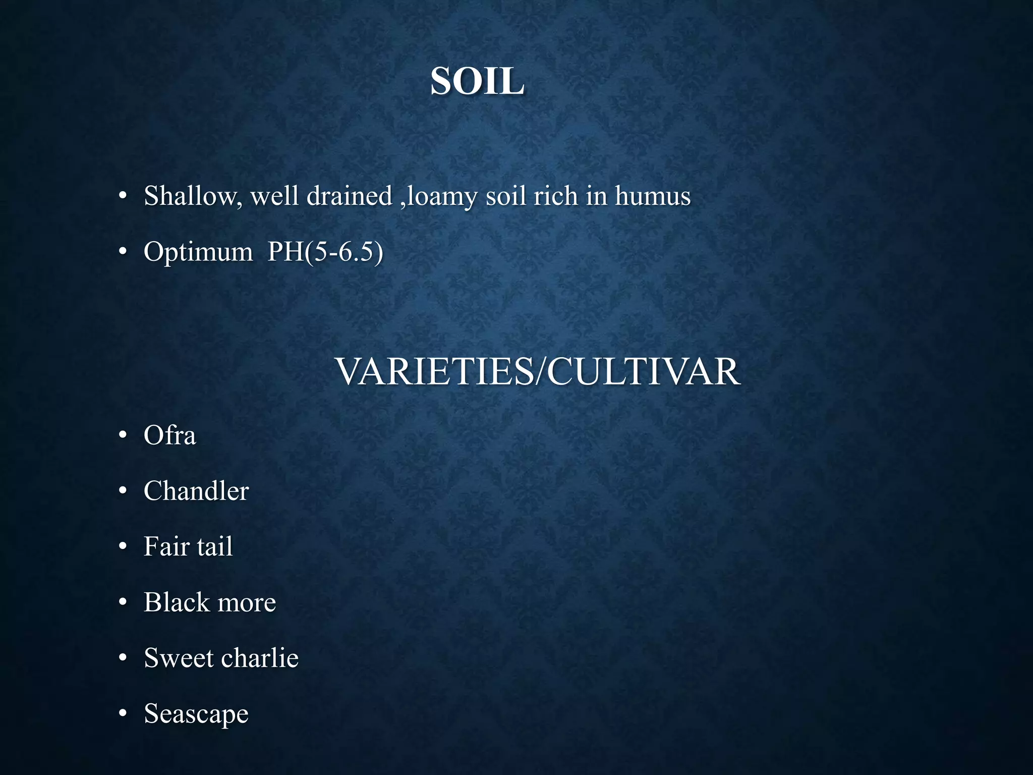 Strawberry production technology | PPTX