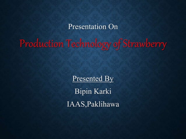 Strawberry production technology | PPTX | Gardening | Home & Garden