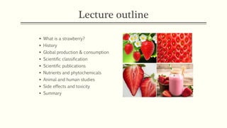 Strawberry Scientific Classification
