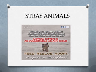 Stray Animals | PPTX