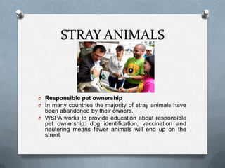 Stray Animals | PPTX