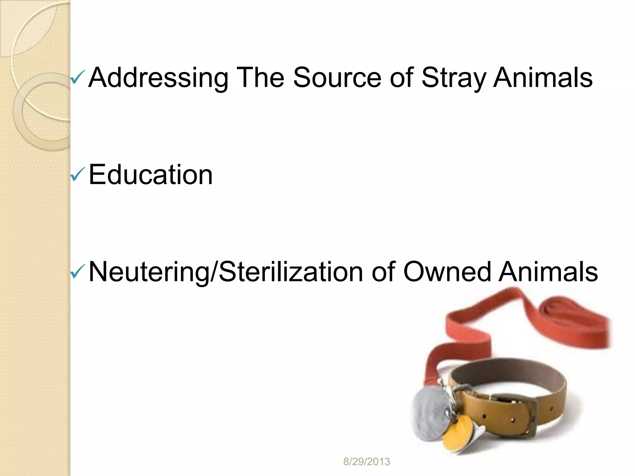 Stray Animals | PPTX