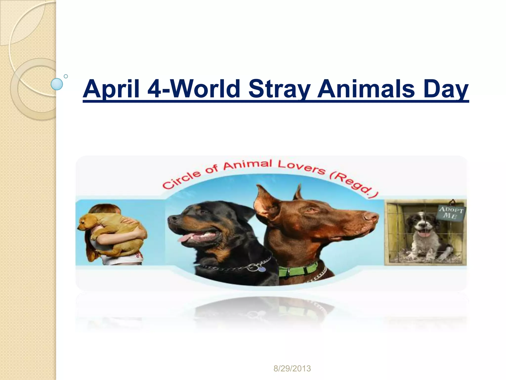 Stray Animals | PPTX