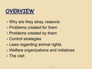 Stray Animals | PPTX