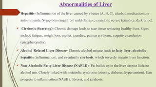 Strcuture of liver and its functions.pptx