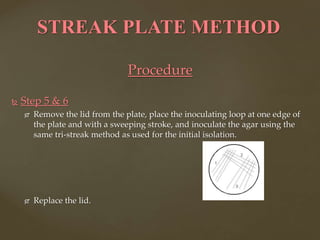 The Streak plate method, | PPTX