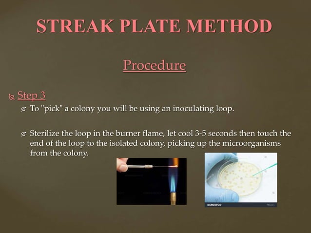 The Streak plate method, | PPTX | Biological Sciences | Science