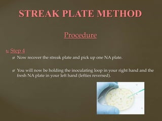 The Streak plate method, | PPTX