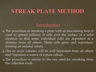 Streak Plate Colonies With Designs