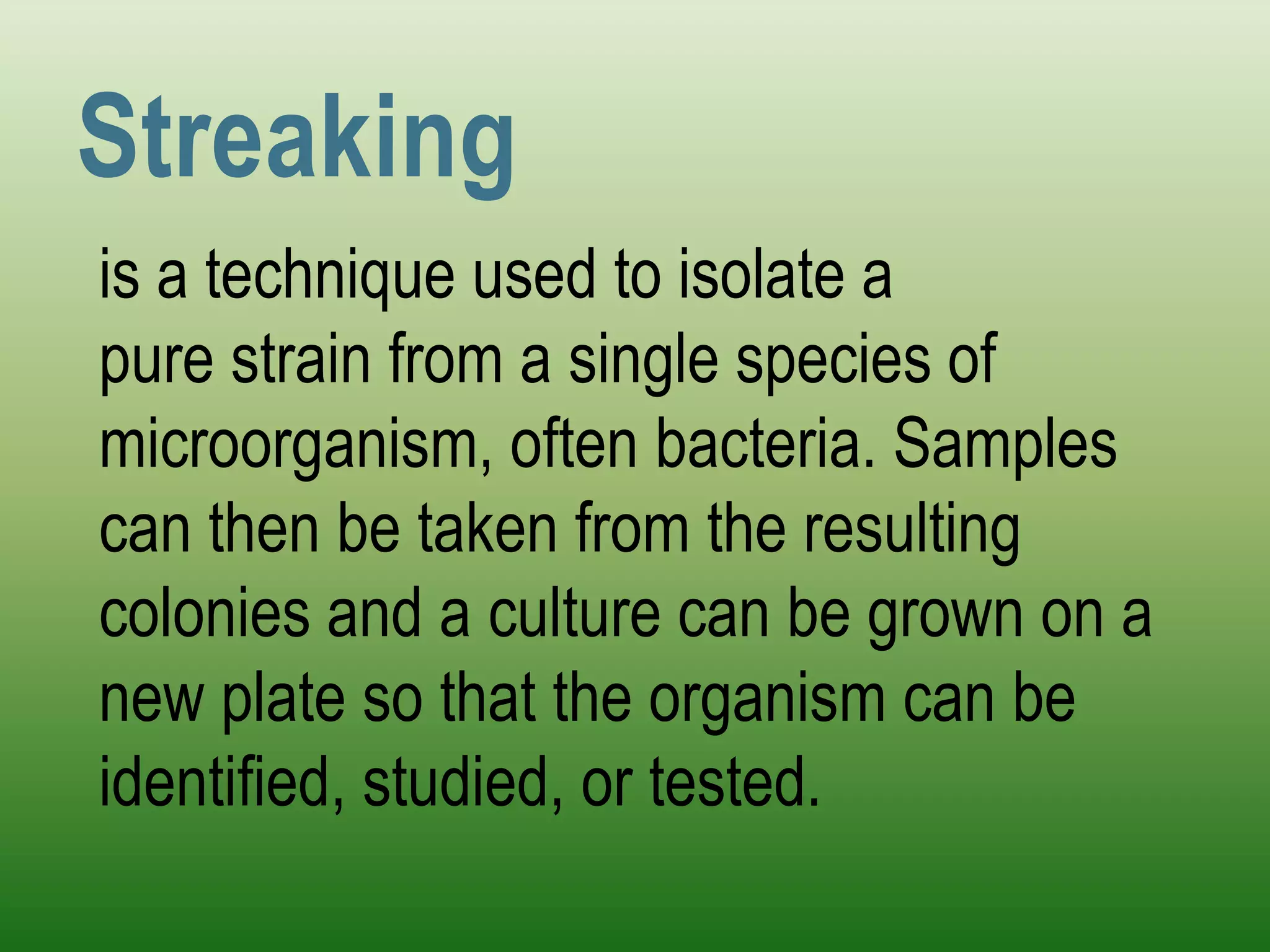 Streak Plating | PDF