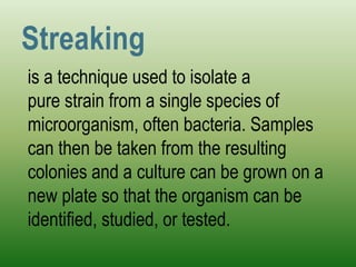 Streak Plating | PDF