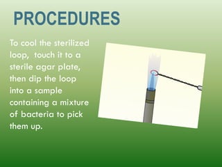 Streak Plating | PDF