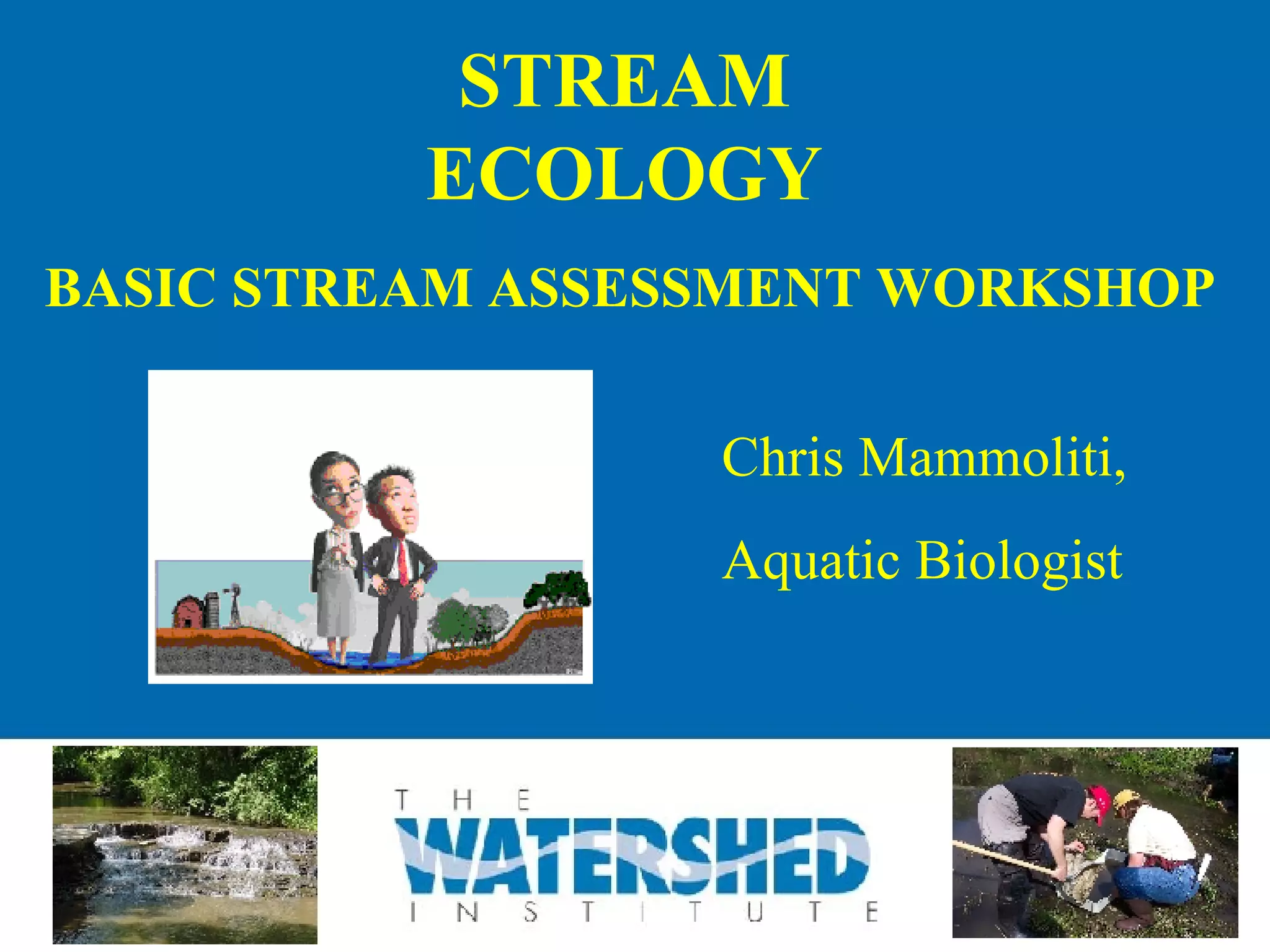 Stream Ecology | PPT