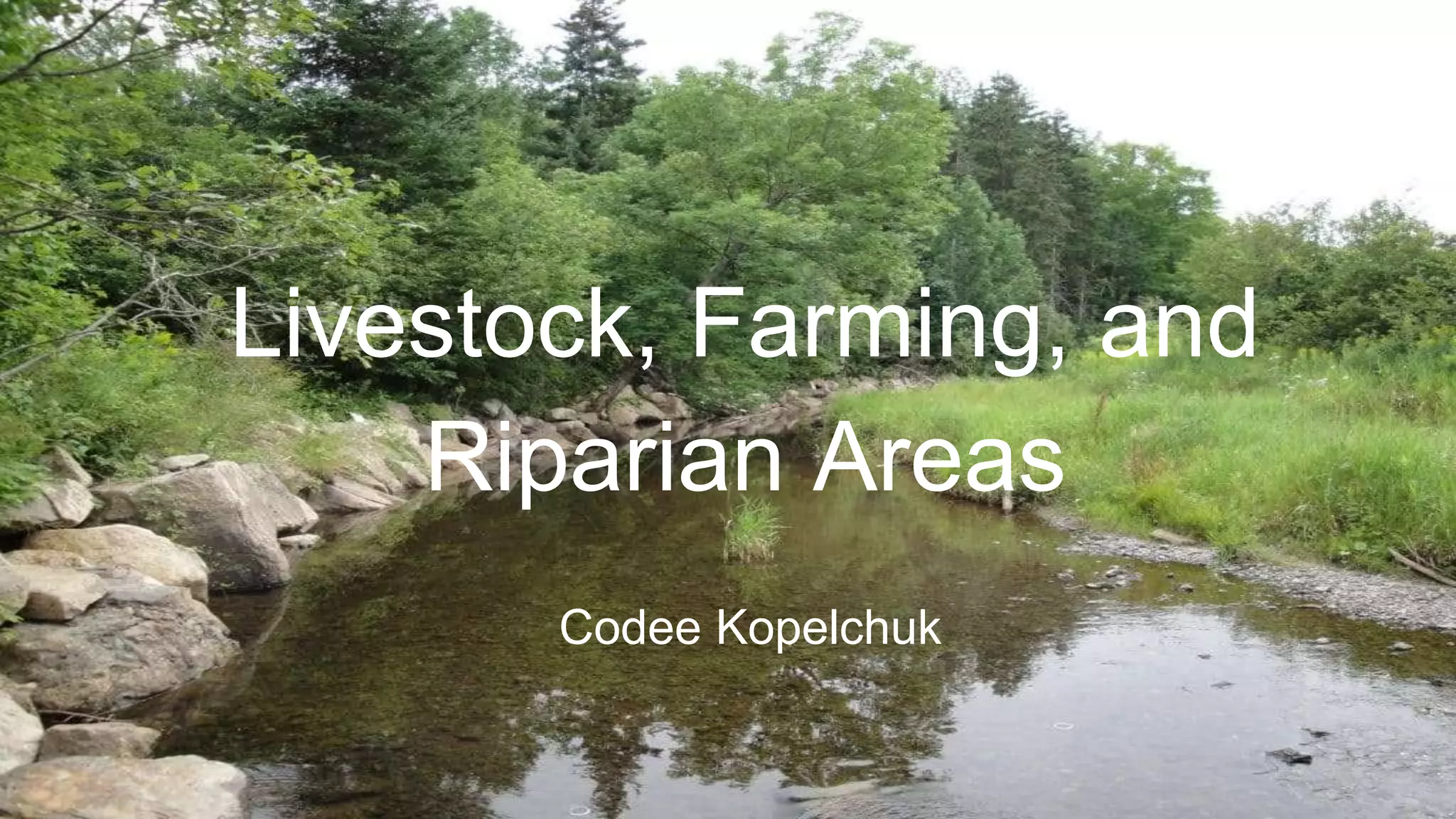 Streambanks and riparian areas | PPTX
