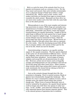 Stream Ecosystem Teacher's Guide | PDF