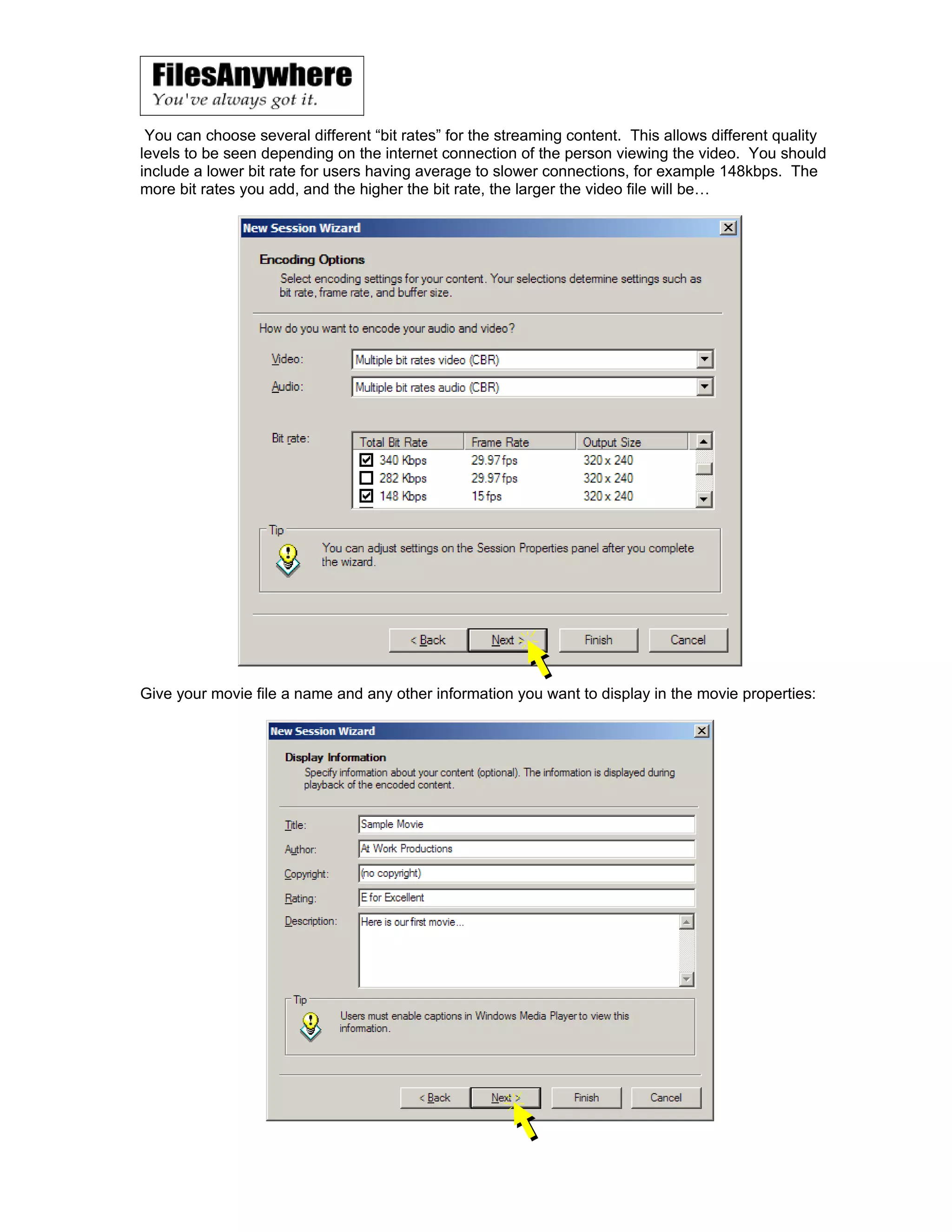 Streaming Media Guide | DOC