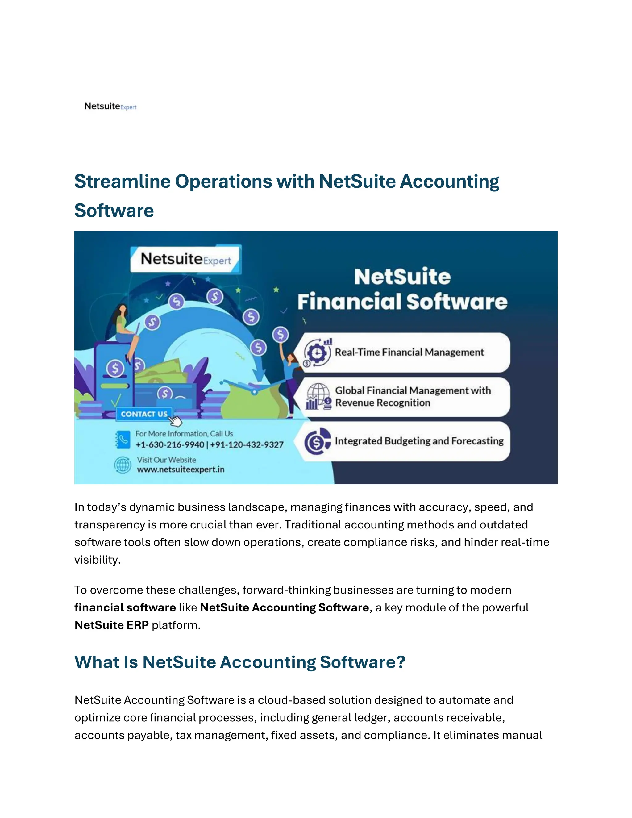 Streamline with NetSuite Accounting Software | PDF