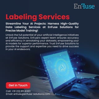 Streamline Your AI Projects: Harness High-Quality Data Labeling Services at EnFuse Solutions for ...