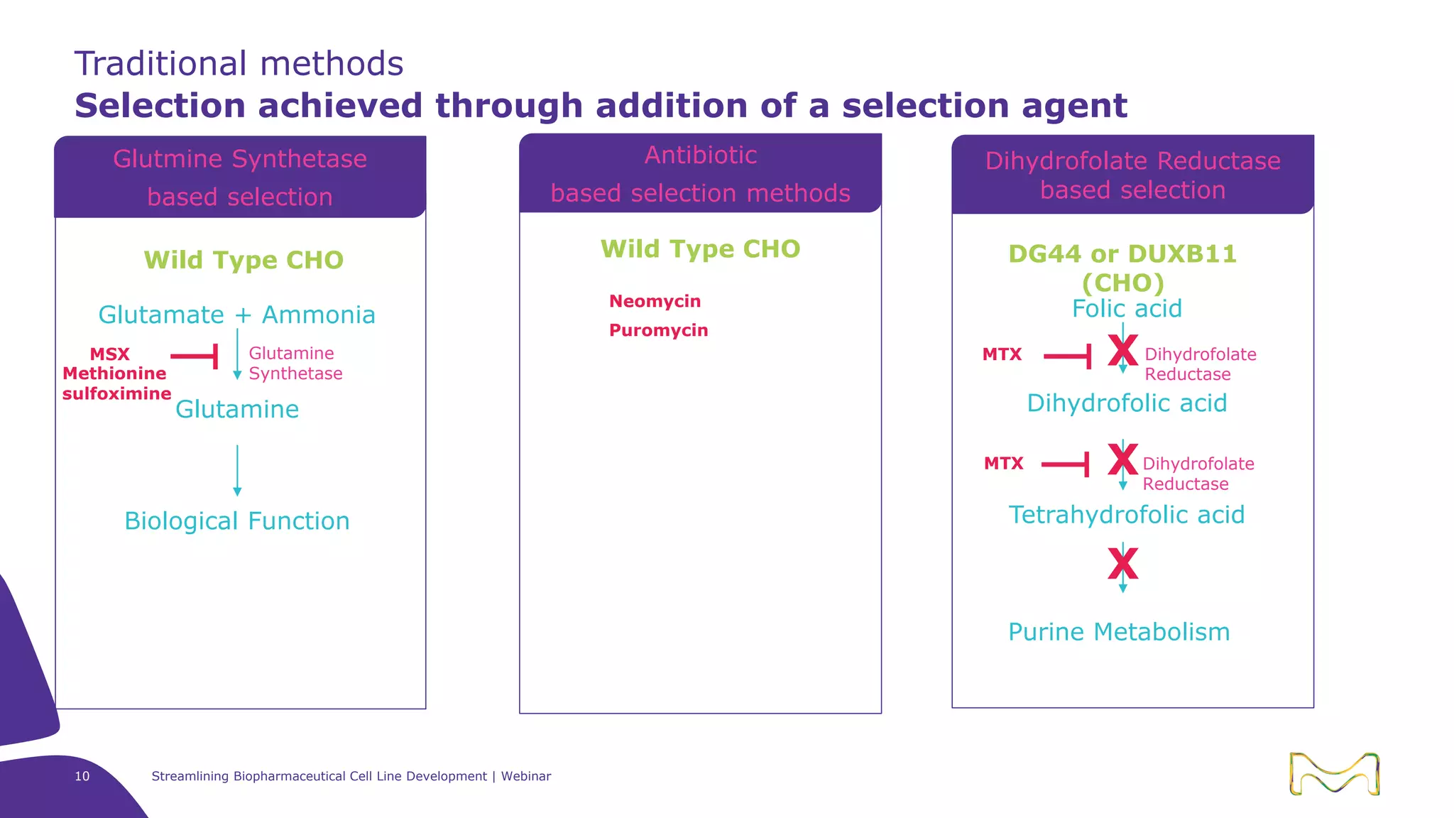 Streamlining Biopharmaceutical Cell Line Development - Reducing risk ...