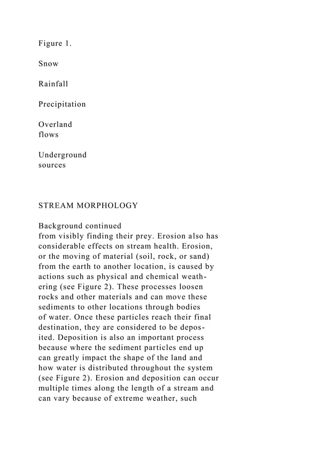 Stream MorphologyInvestigation ManualENVIRONMENTAL SCI.docx | Geology ...