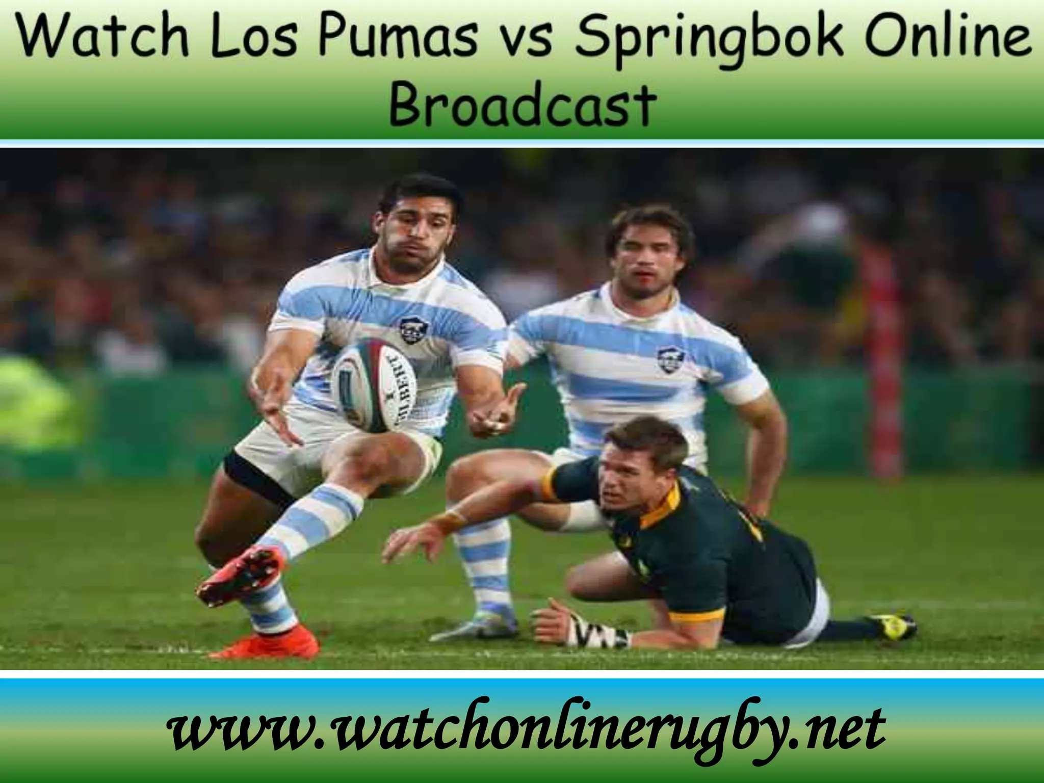Stream now rugby championship los pumas vs springbok | PPTX