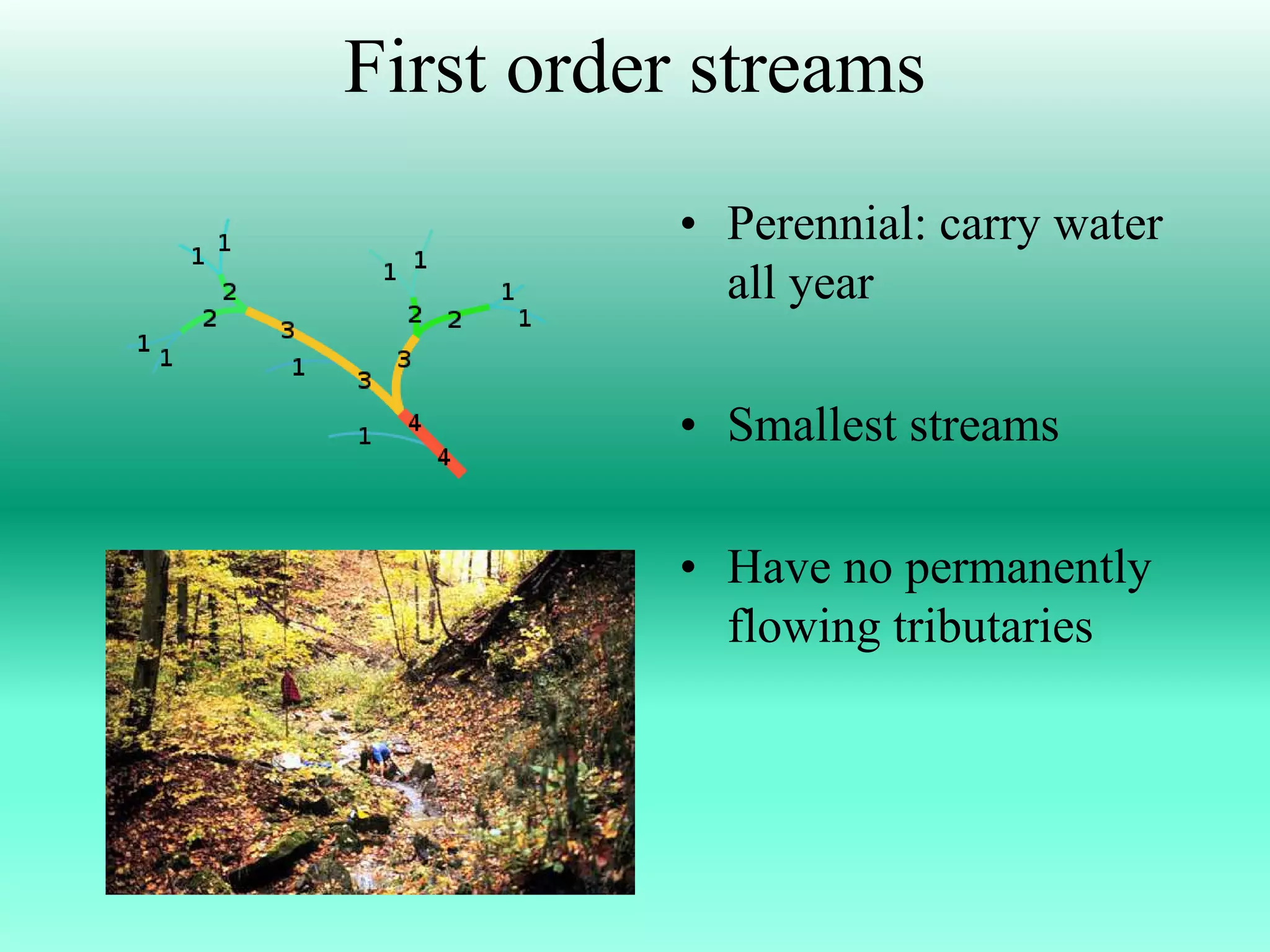 Stream order | PDF