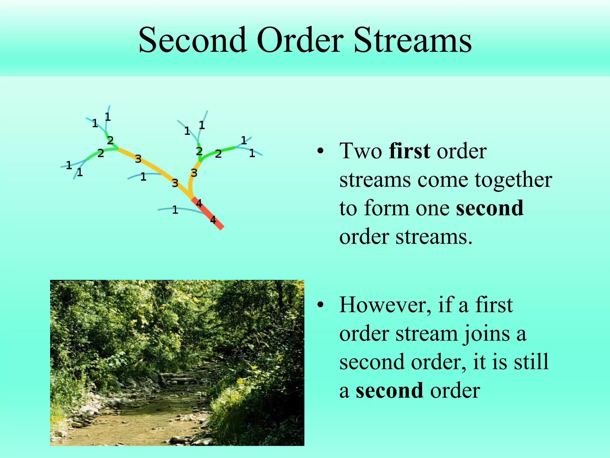 Stream order | PDF
