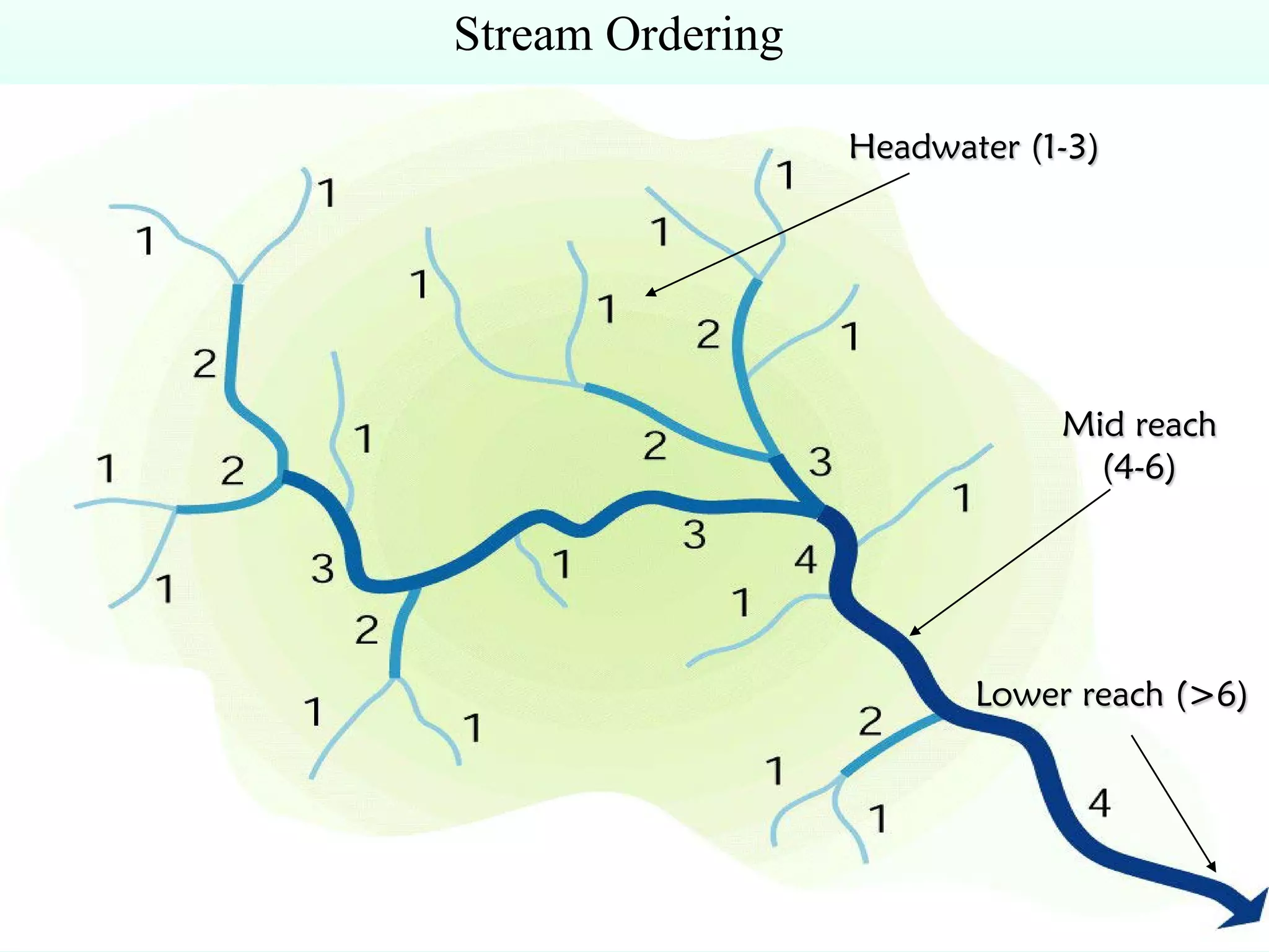 Stream order | PDF
