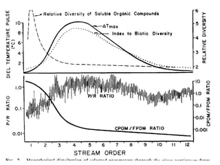 Stream order | PDF | Geography | Science