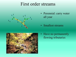 Stream order | PDF