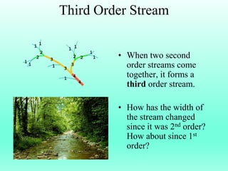 Stream order | PDF