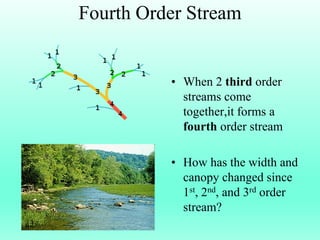Stream order | PDF