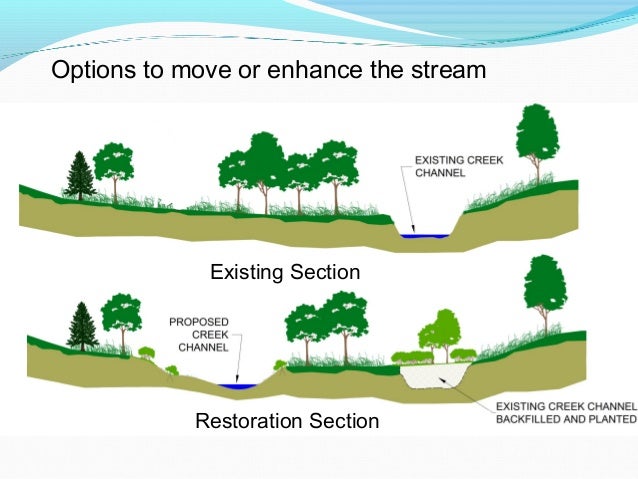 Stream Restoration 101