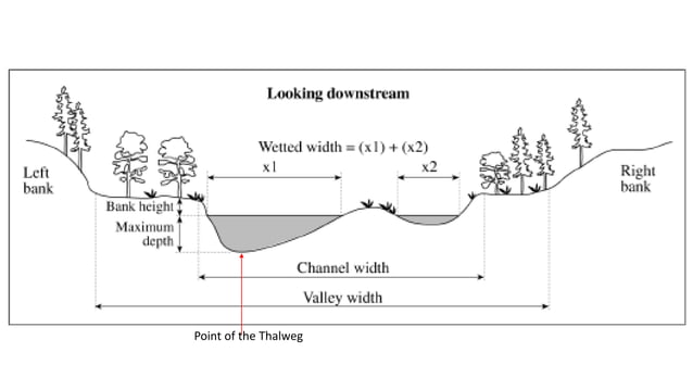Characteristics of Lotic system (Streams and rivers) | PDF
