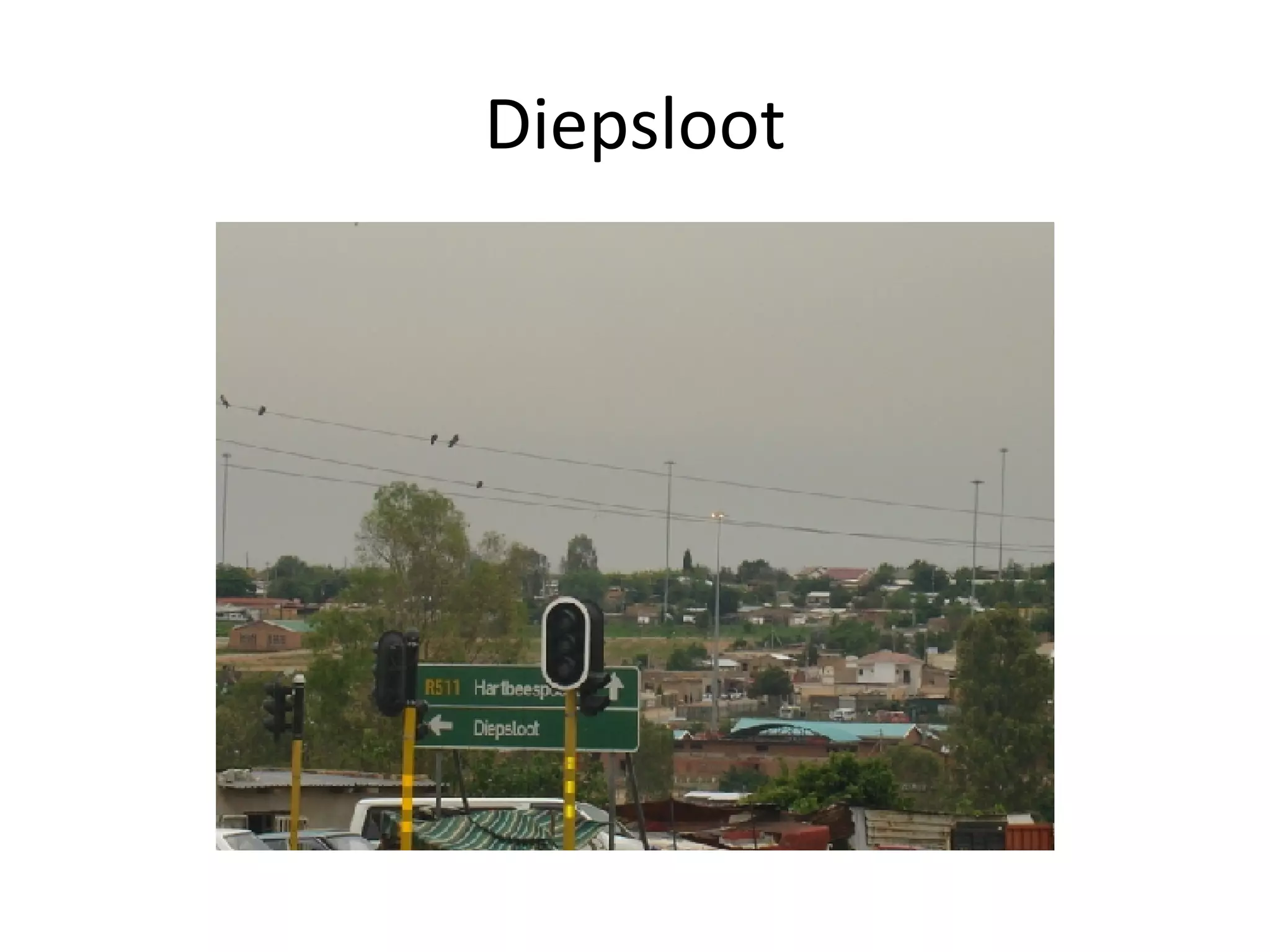 Street Vendors in Diepsloot | PPT