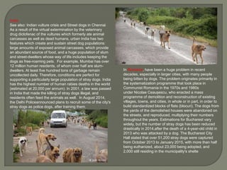 Street animals | PPTX